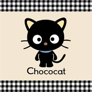 Chococat/Gallery | Hello Kitty Wiki | Fandom