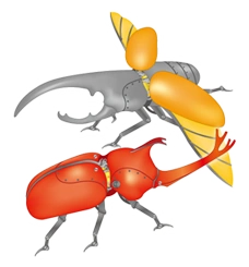 Beetroid | Hello Kitty Wiki | Fandom