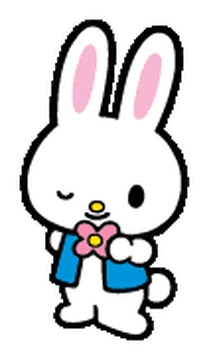 Hello Kitty Rabbit Name