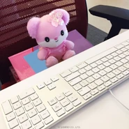 Pinki Lili | Hello Kitty Wiki | Fandom