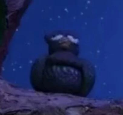 Owl | Hello Kitty Wiki | Fandom