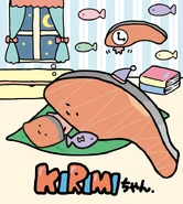 KIRIMIchan. | Hello Kitty Wiki | Fandom