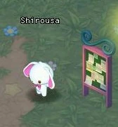 Shirousa | Hello Kitty Online Wiki | Fandom
