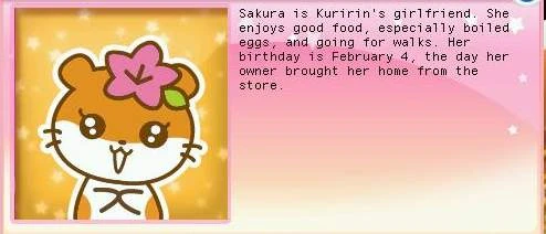 Sakura | Hello Kitty Online Wiki | Fandom