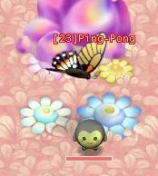 Ping Pong | Hello Kitty Online Wiki | Fandom