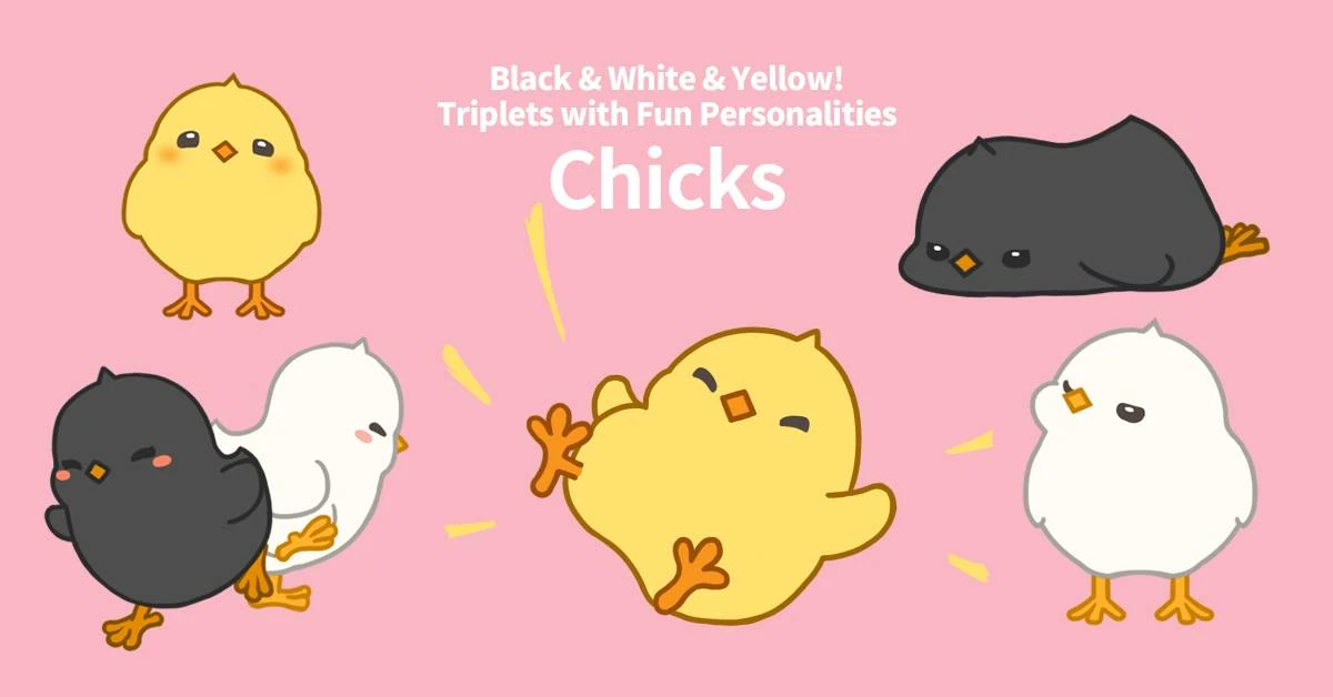 Chick | Hellopet Wiki | Fandom