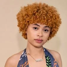 Ice Spice | Hello Pixels Wiki | Fandom