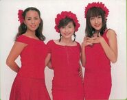Coconuts Musume/Gallery | Hello! Project Wiki | Fandom
