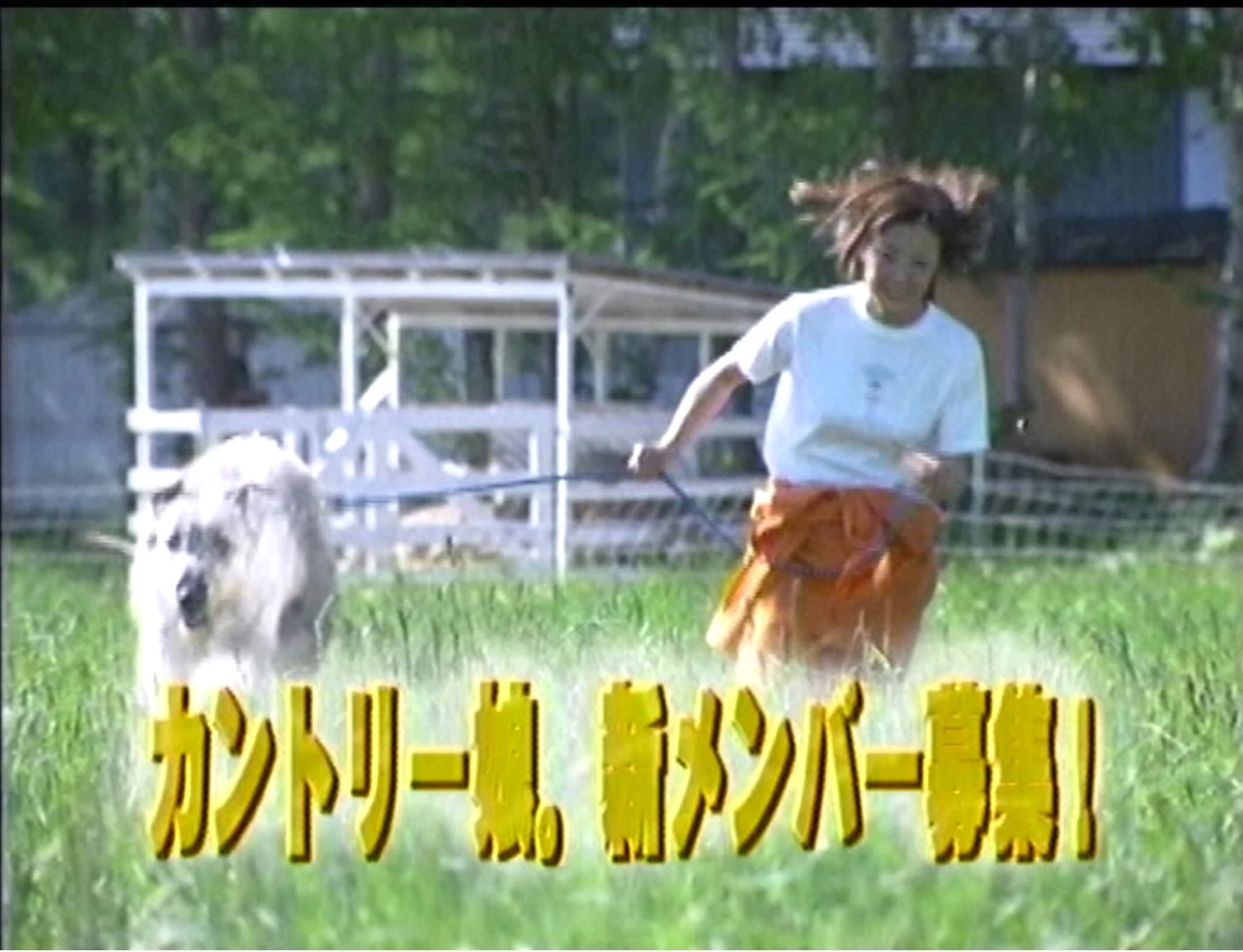 Country Musume 4th Member Addition Audition | Hello! Project Wiki | Fandom