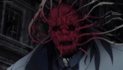 Alexander Anderson | Hellsing Wiki | Fandom