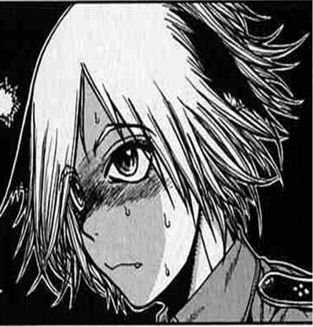 Schrodinger Hellsing Wallpaper