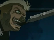 Holy Bayonets | Hellsing Wiki | Fandom