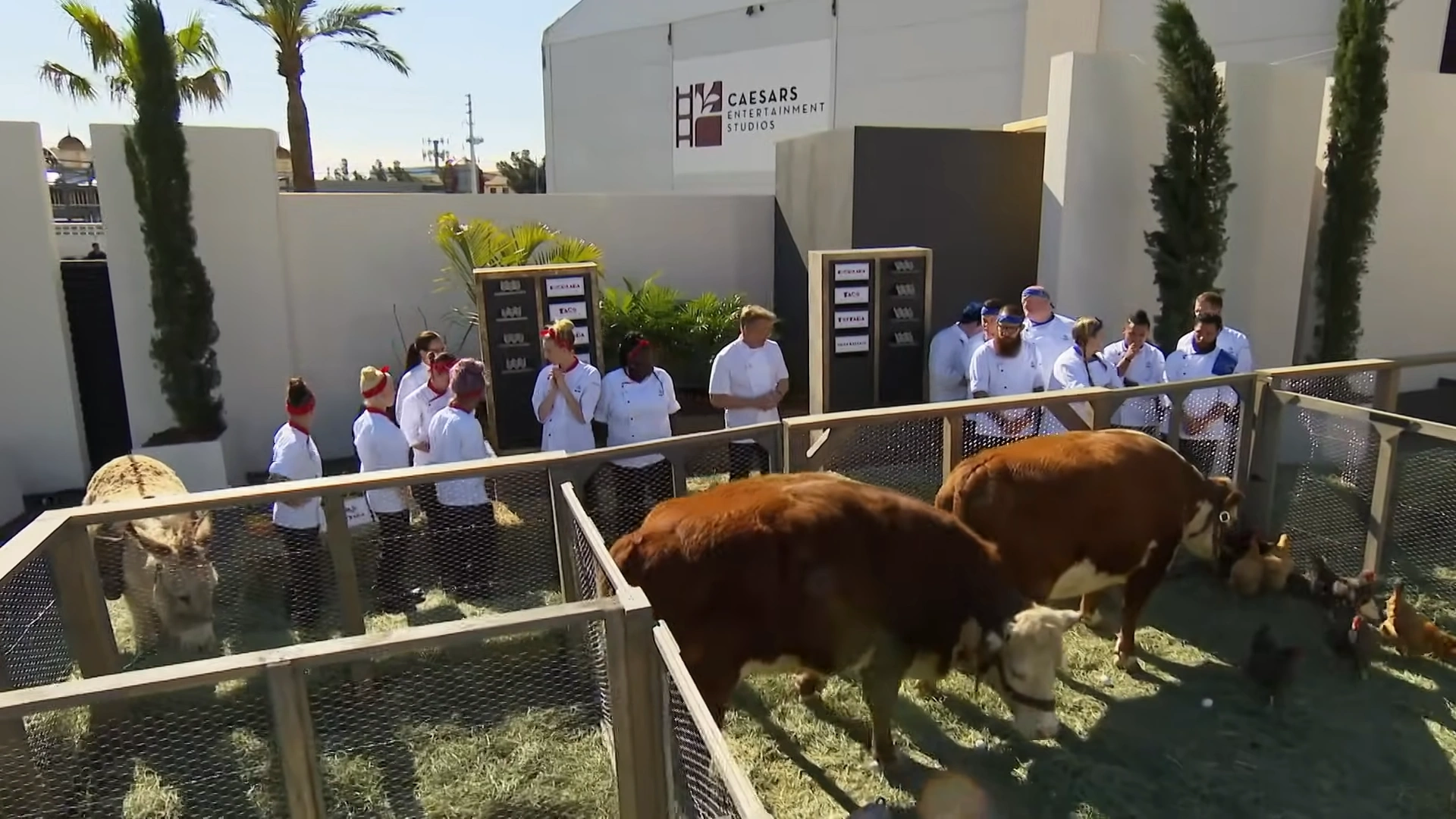 Episode 1905 - Hell Starts Taking Its Toll | Hell's Kitchen Wiki | Fandom