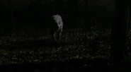 Vargulf | Hemlock Grove Wiki | Fandom