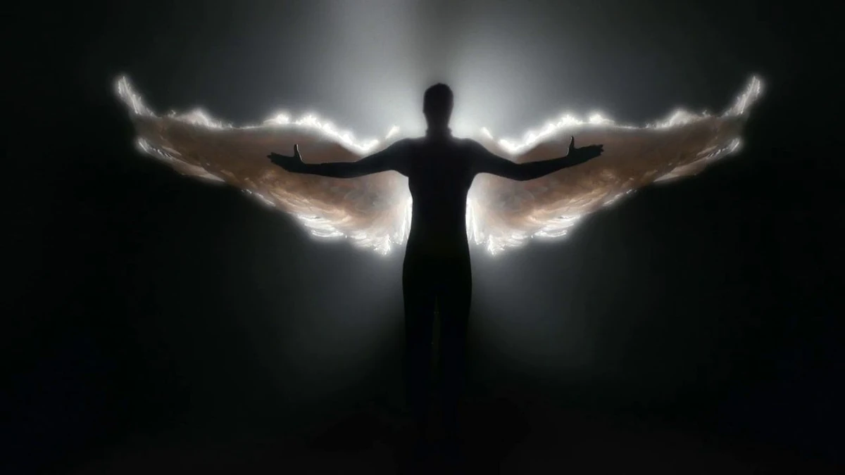 The Angel | Hemlock Grove Wiki | Fandom