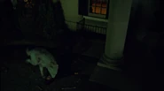 Vargulf | Hemlock Grove Wiki | Fandom