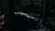 Vargulf | Hemlock Grove Wiki | Fandom