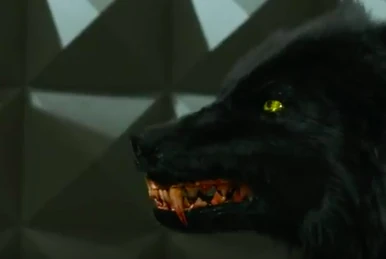 peter rumancek x reader