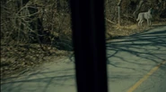 Vargulf | Hemlock Grove Wiki | Fandom