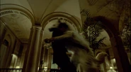 Vargulf | Hemlock Grove Wiki | Fandom