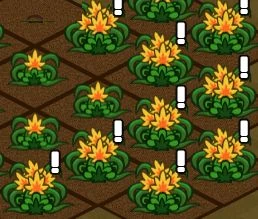 Paradise | Hemp Tycoon Wiki | Fandom