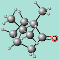 Alcanfor (sustancia) | Wiki Herbolaria | Fandom