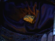 Rheingold | Legendary Journeys | Fandom