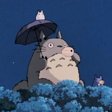 Totoro | Here Be Dragons Wiki | Fandom