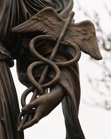 Caduceus | Here Be Dragons Wiki | Fandom