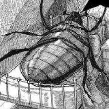 Gregor Samsa | Here Be Dragons Wiki | Fandom