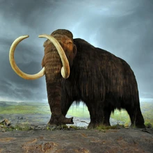 Mammoth | Here Be Dragons Wiki | Fandom