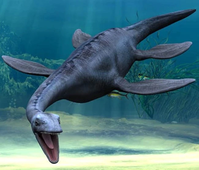 Plesiosaur | Here Be Dragons Wiki | Fandom