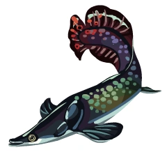 Arapaima | Here Be Monsters Wiki | Fandom