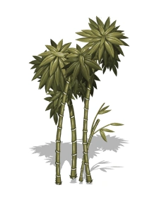 Sneaking Bamboo | Here Be Monsters Wiki | Fandom