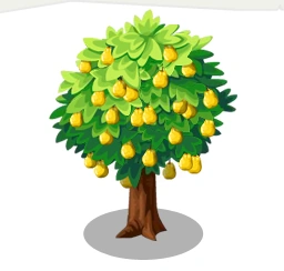 Pear Tree | Here Be Monsters Wiki | Fandom