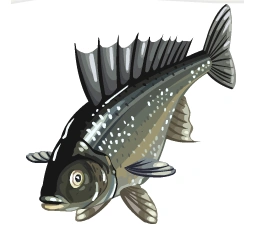 Silver Perch | Here Be Monsters Wiki | Fandom
