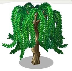 Willow | Here Be Monsters Wiki | Fandom