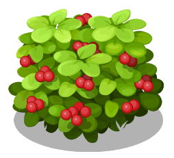 Cranberry Bush | Here Be Monsters Wiki | Fandom