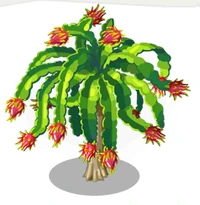 Dragonfruit Tree | Here Be Monsters Wiki | Fandom