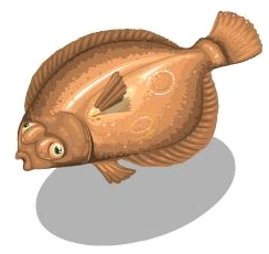 Pacific Dover Sole | Here Be Monsters Wiki | Fandom