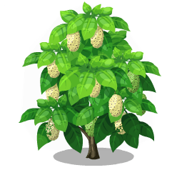 Morinda Tree | Here Be Monsters Wiki | Fandom