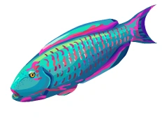 Princess Parrotfish | Here Be Monsters Wiki | Fandom