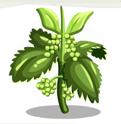 Stinging Nettle | Here Be Monsters Wiki | Fandom
