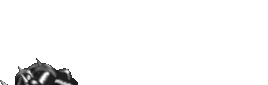 Gauntlets of the Necromancer | Heretic Wiki | Fandom