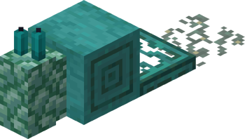 Snails | Hermitcraft Wiki | Fandom