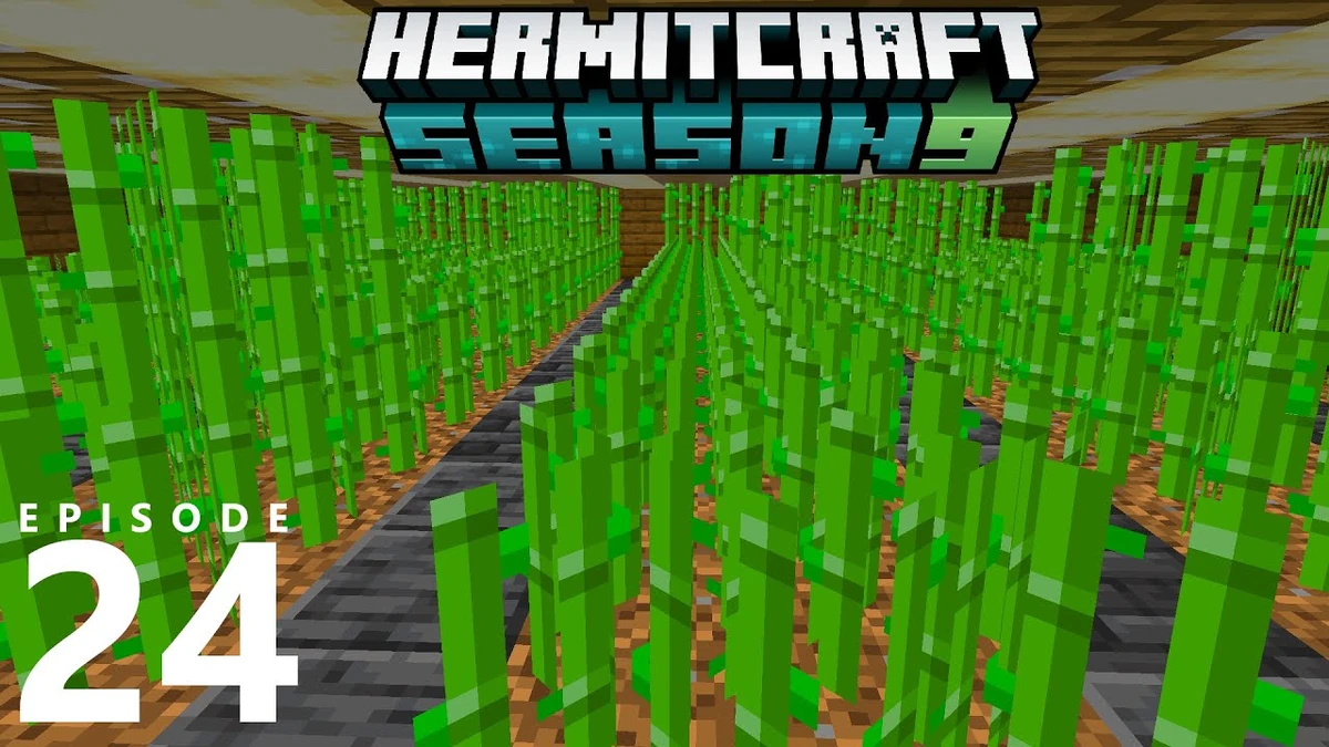 Hypnotizd's Season 9: Episode 24 | Hermitcraft Wiki | Fandom