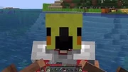 Pesky Bird | Hermitcraft Wiki | Fandom