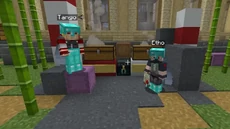 Shade-E Rockets | Hermitcraft Wiki | Fandom