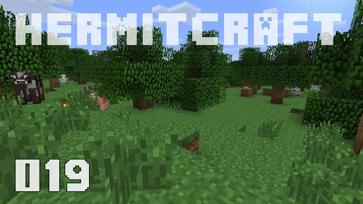 Xisumavoid's Season 1: Episode 19 | Hermitcraft Wiki | Fandom