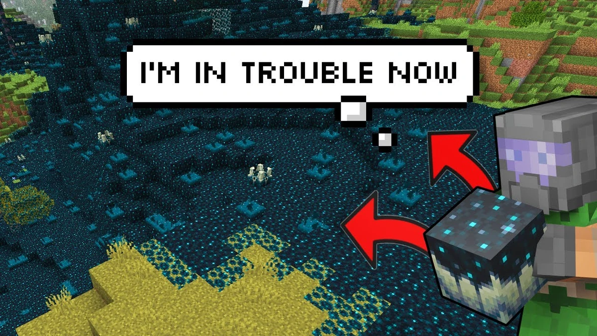 Xisumavoid's Season 9: Episode 80 | Hermitcraft Wiki | Fandom